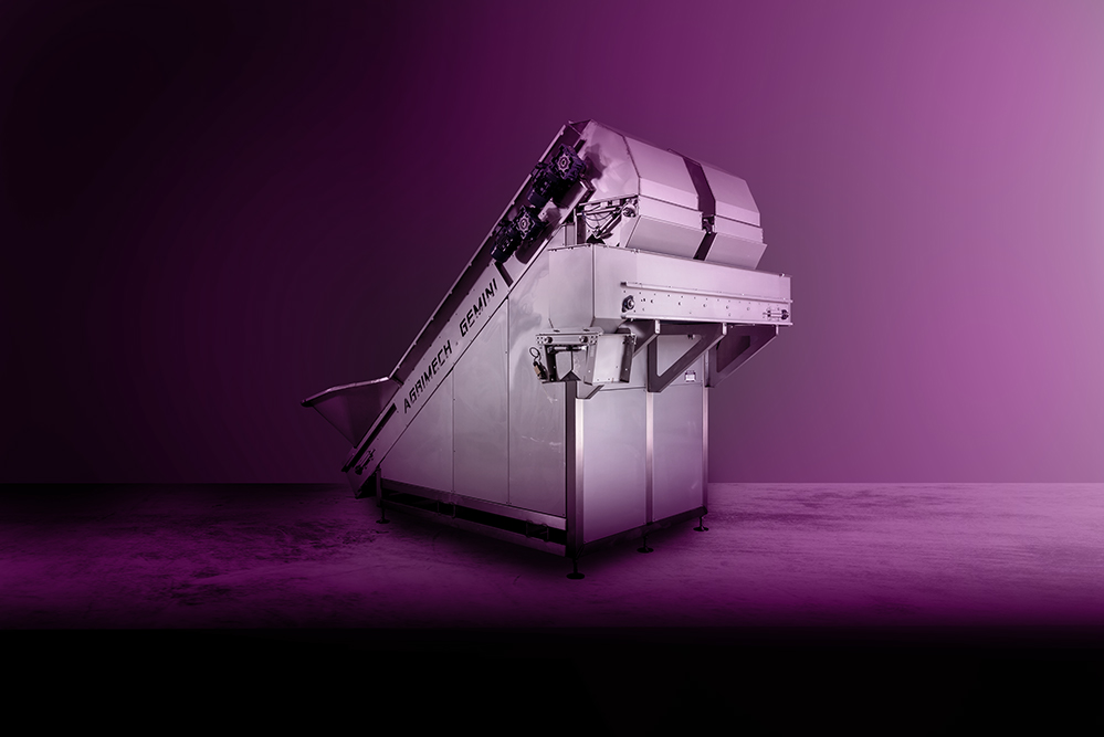 Gemini — Double Head Bin Weighing System | Agrimech®